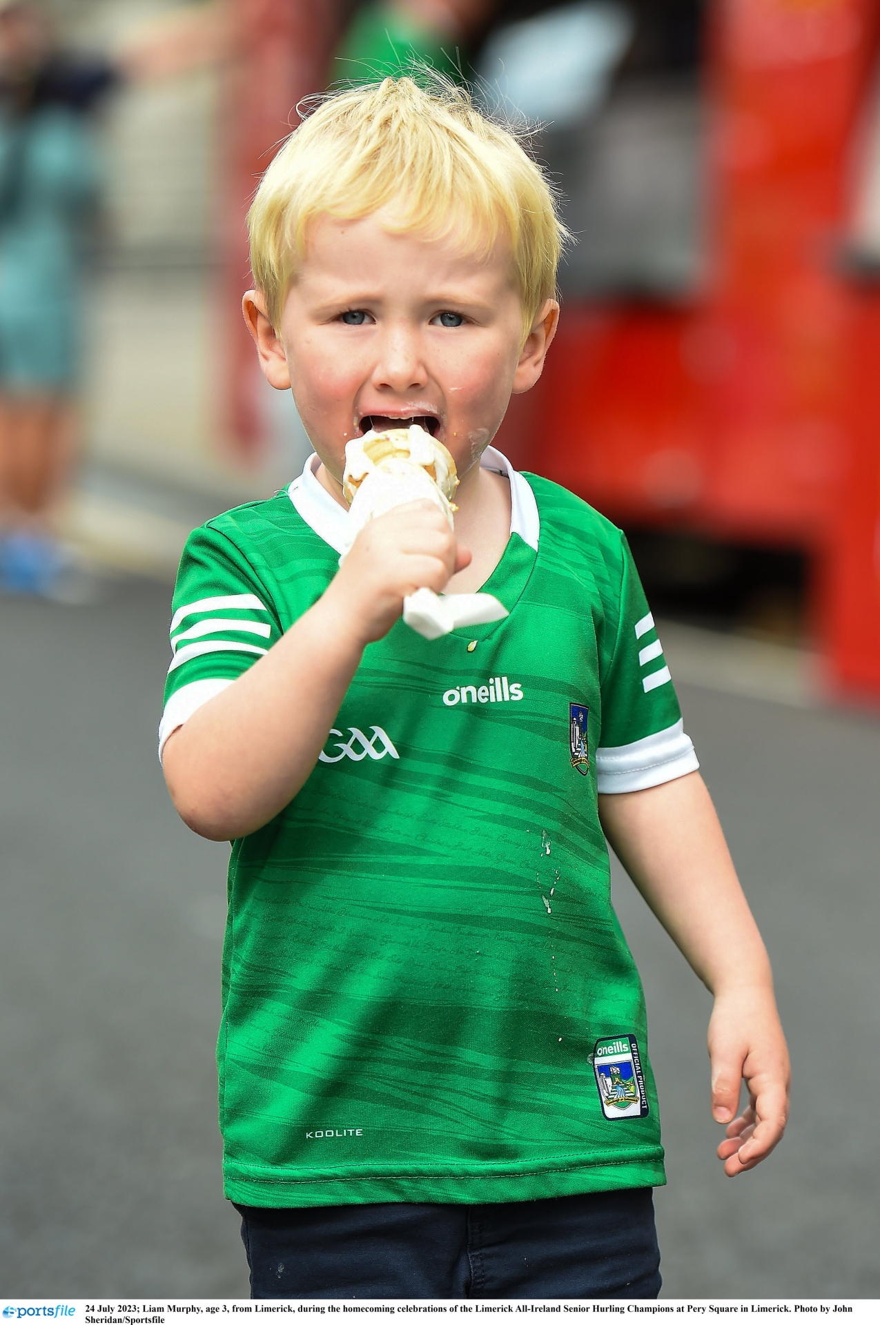 In Pictures: 20 more photos from the Limerick team's jubilant ...