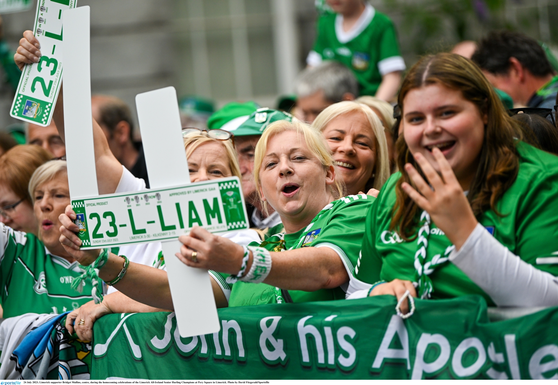 In Pictures: 20 more photos from the Limerick team's jubilant ...