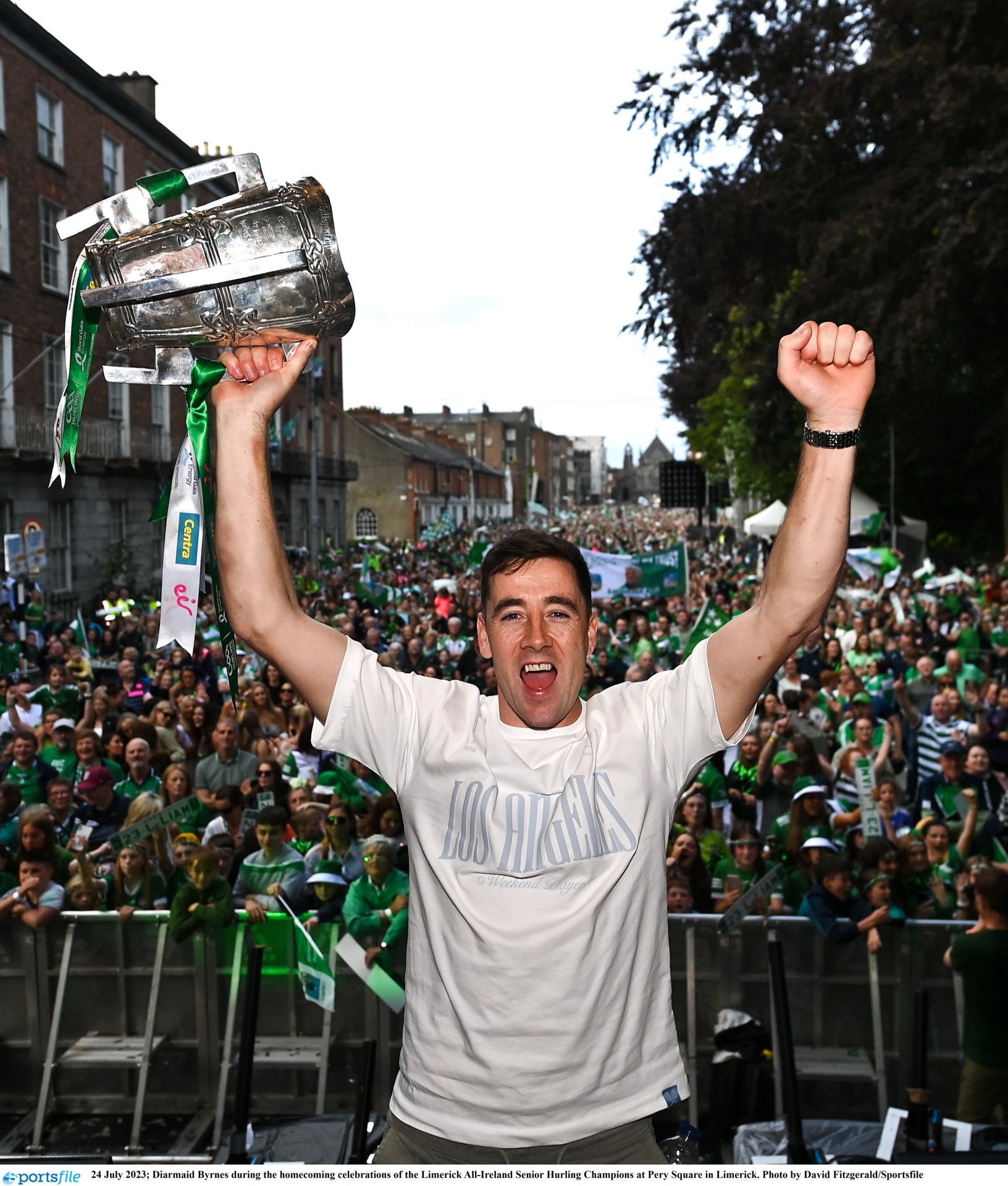 In Pictures: 20 more photos from the Limerick team's jubilant ...