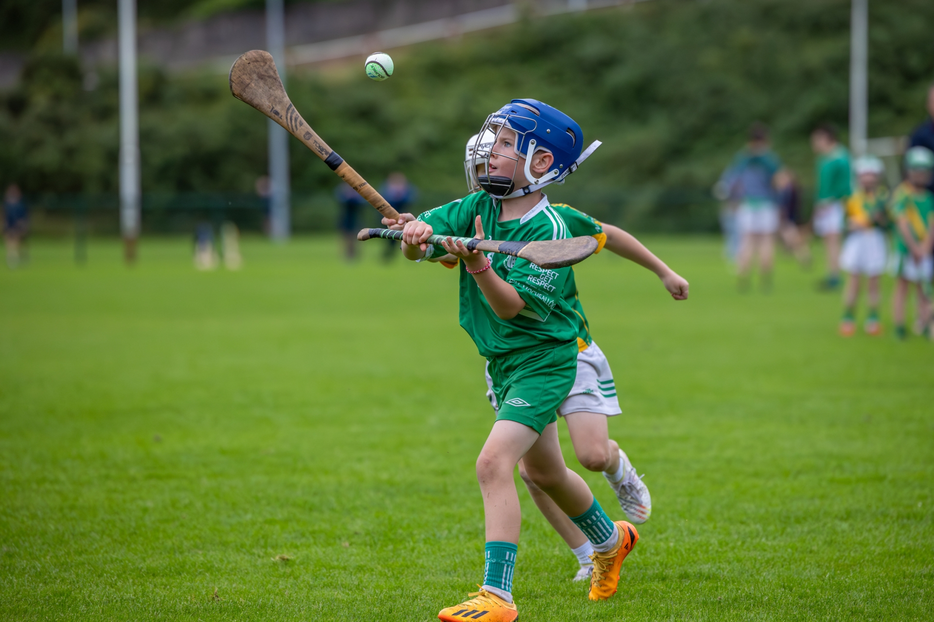 In Pictures: Hurling fans flock to meeting of Kilmallock and Ahane in ...