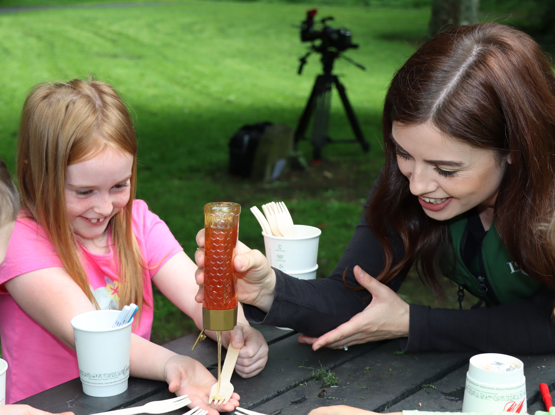 In Pictures: Busy bees at Limerick heritage site - Page 4 of 8 ...