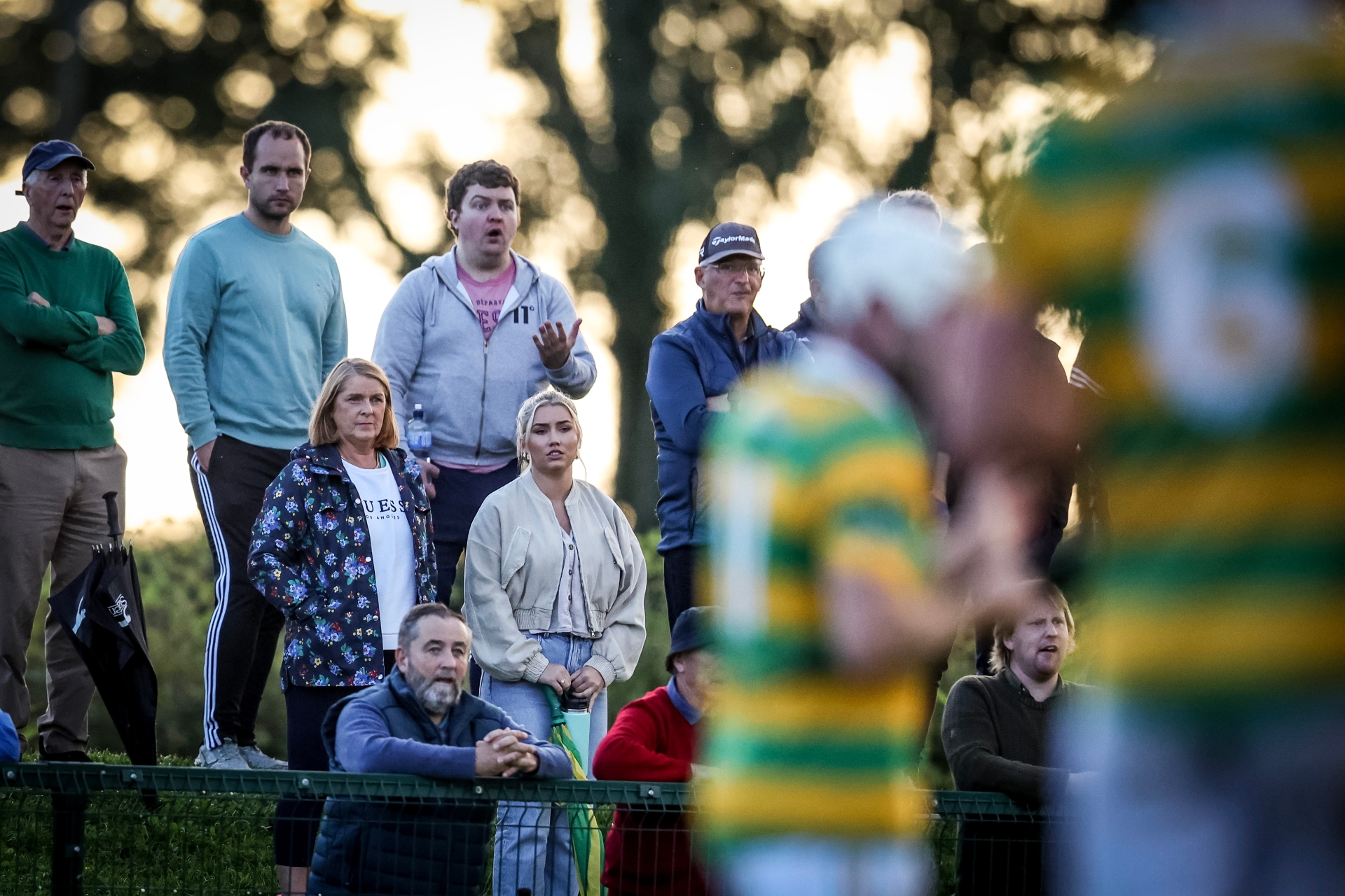 In Pictures: Fans flock to Fedamore for Ballybrown and South Liberties ...