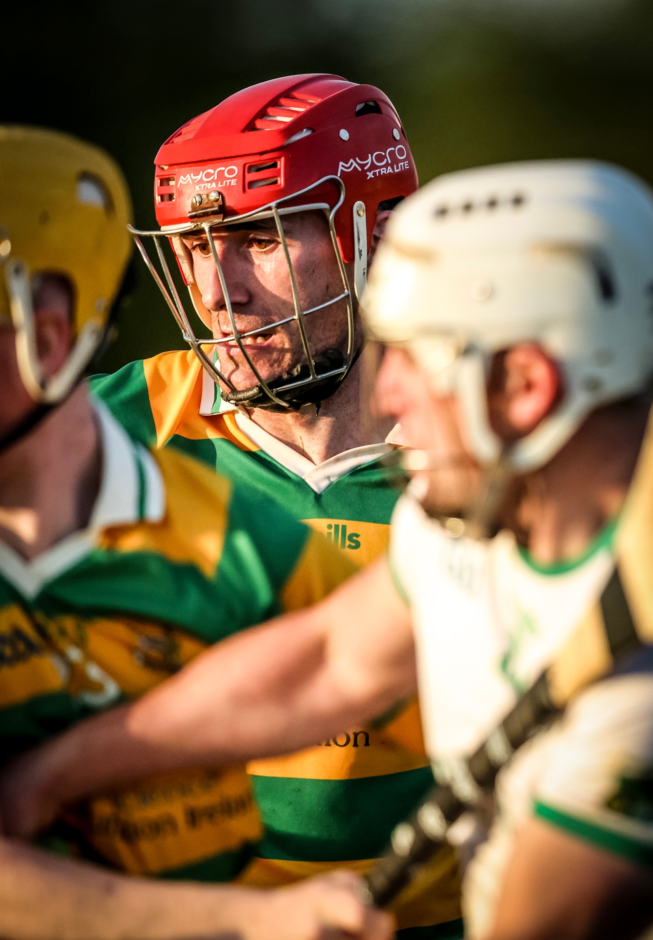 In Pictures: Fans flock to Fedamore for Ballybrown and South Liberties ...