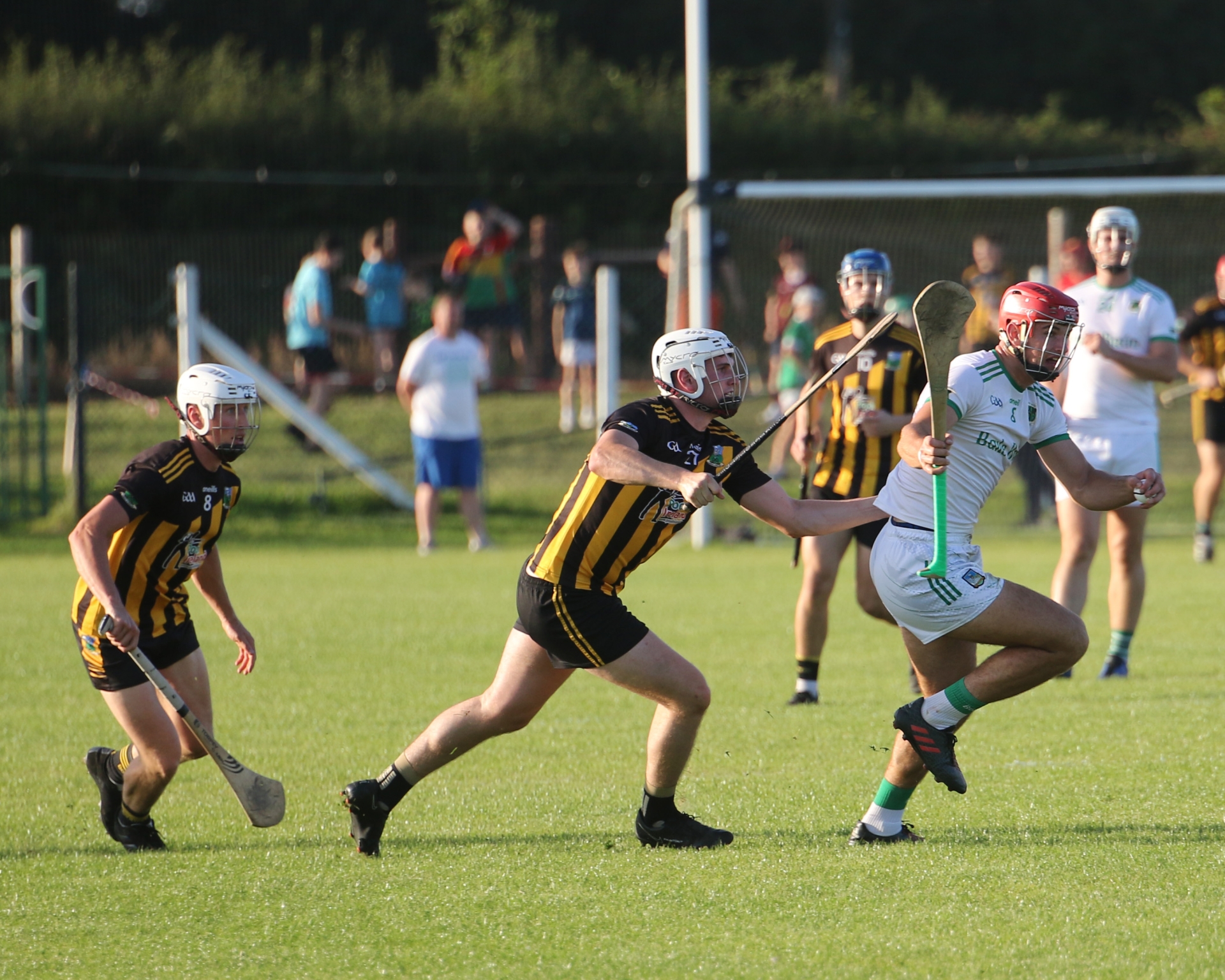 In Pictures: Fans flock to Fedamore for Limerick SHC clash between ...