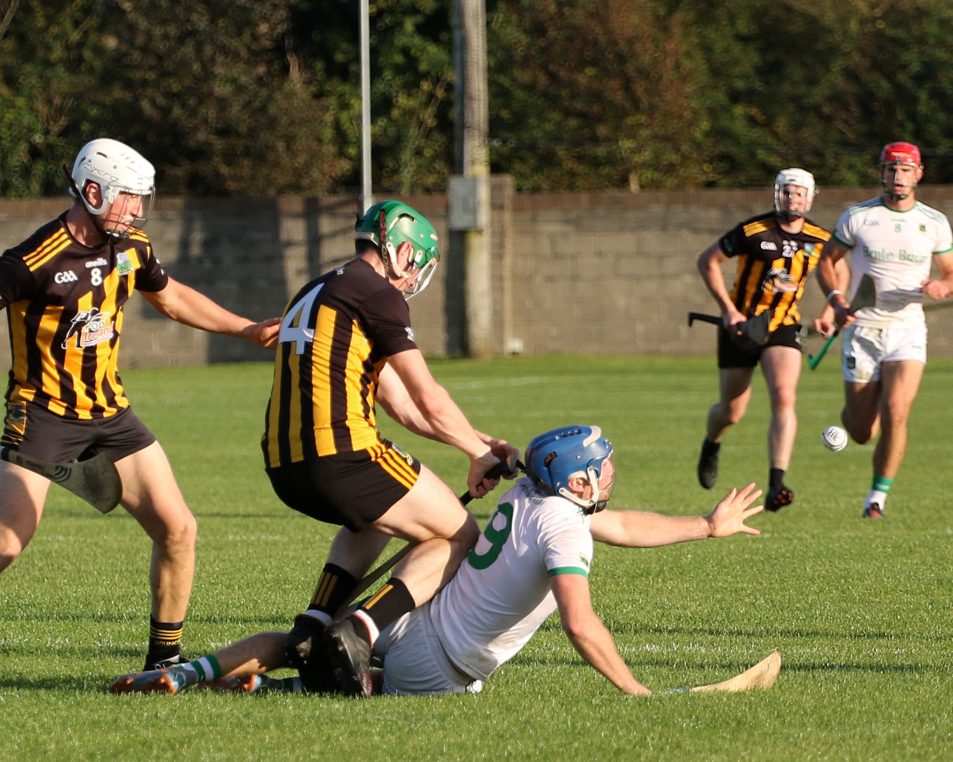 In Pictures: Fans flock to Fedamore for Limerick SHC clash between ...