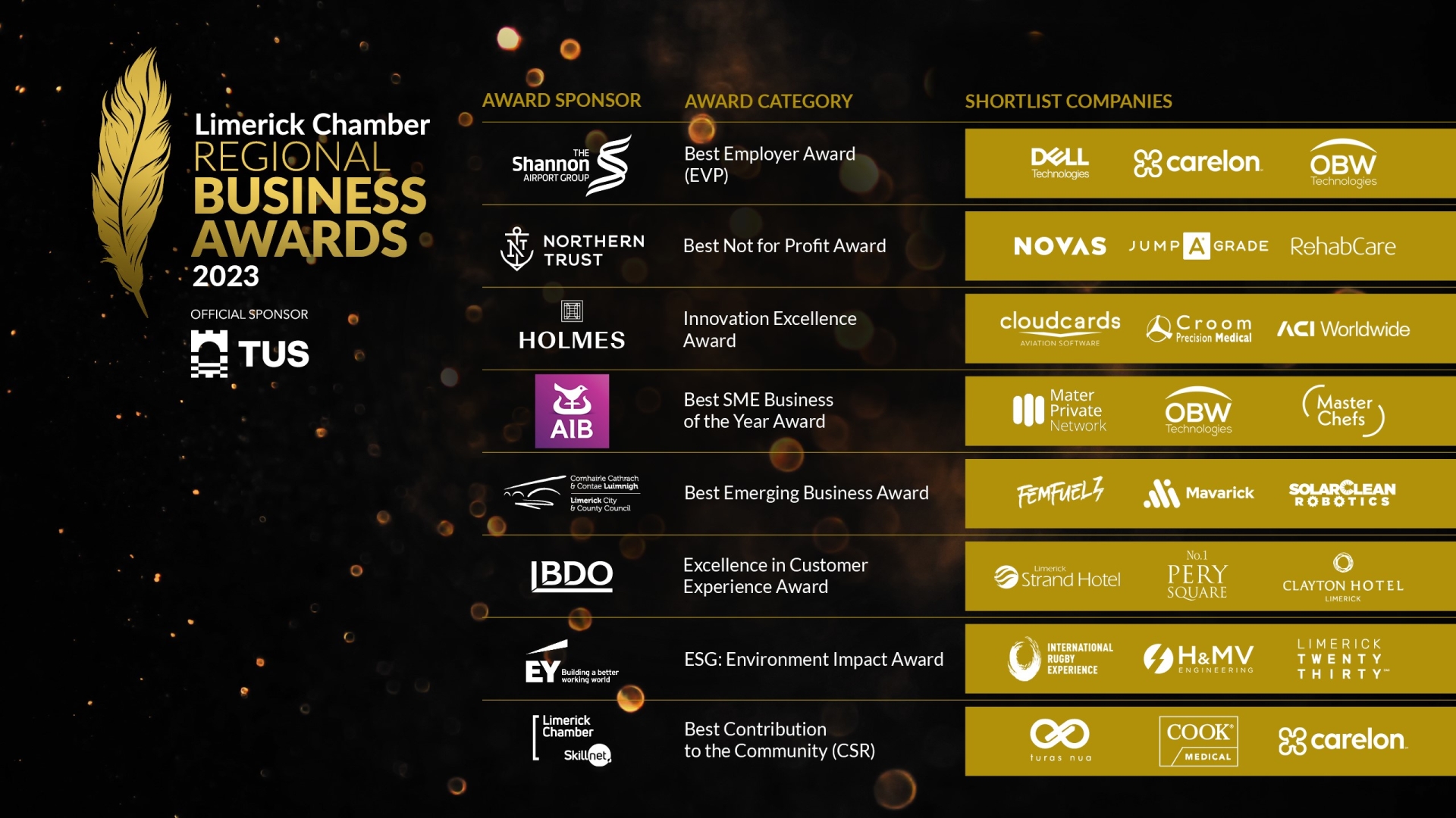Shortlist revealed for annual Limerick Chamber Regional Business awards ...