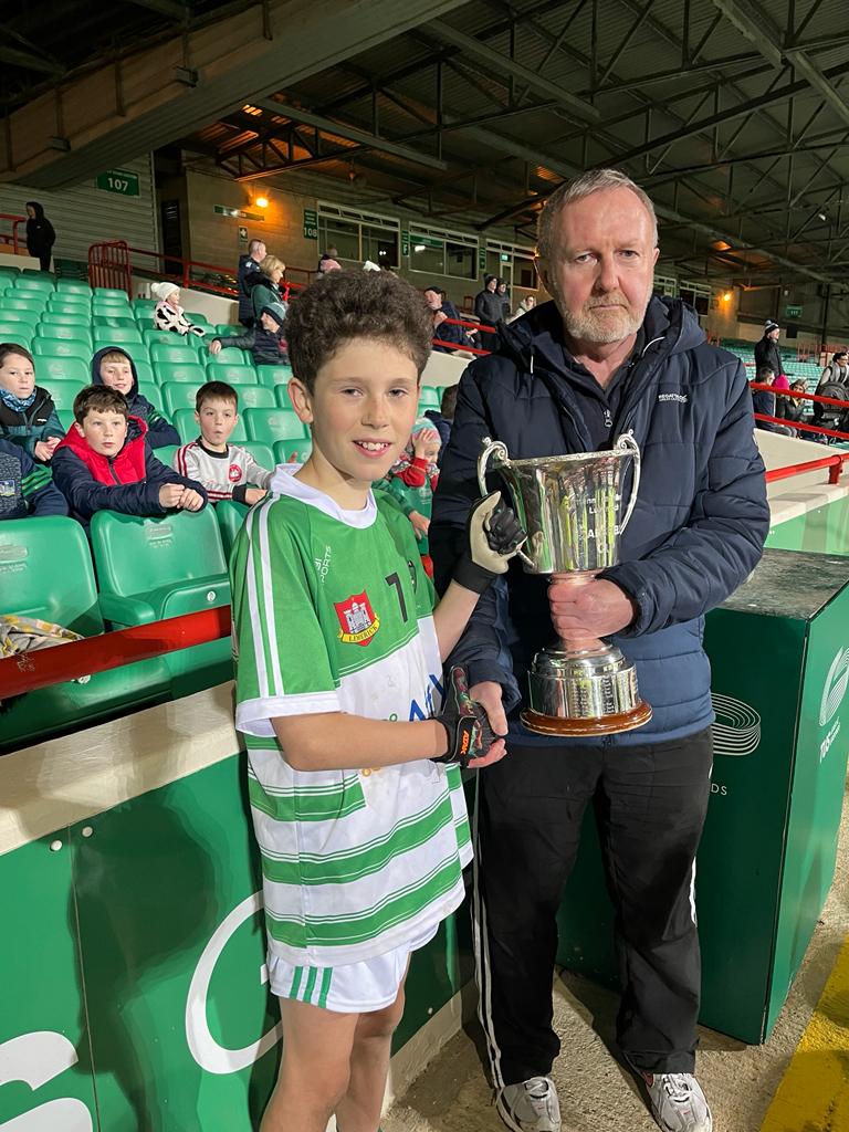 Victory for Limerick City in Sarsfield Cup final - Limerick Live