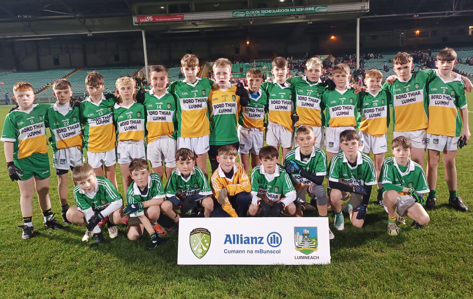 Victory for Limerick City in Sarsfield Cup final - Limerick Live