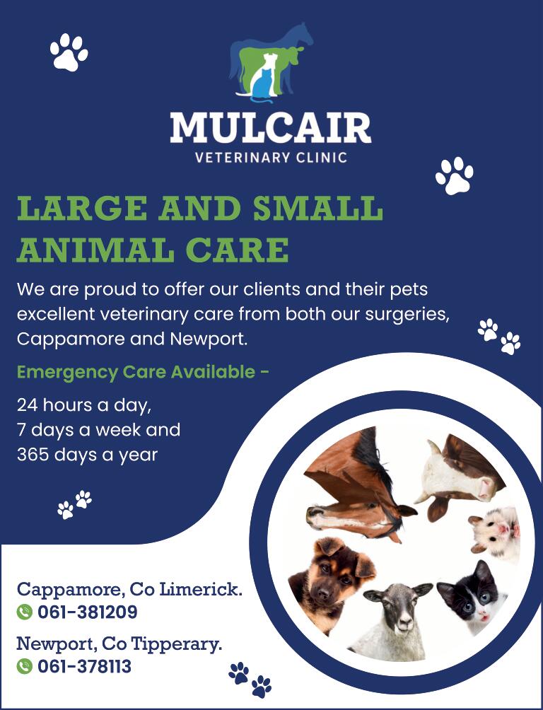 Mulcair Vets to celebrate new premises with a family fun-day ...