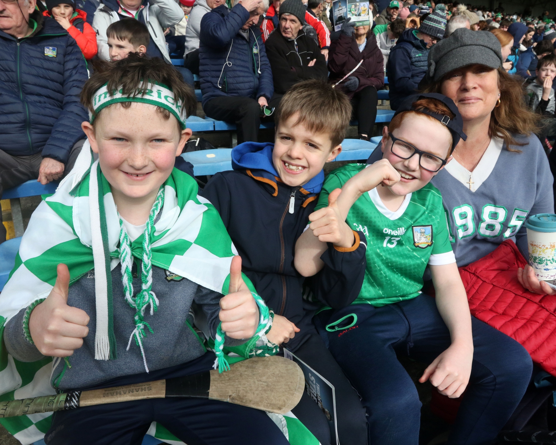 IN PICTURES: Hurling fans cheer holders Limerick to impressive Allianz ...