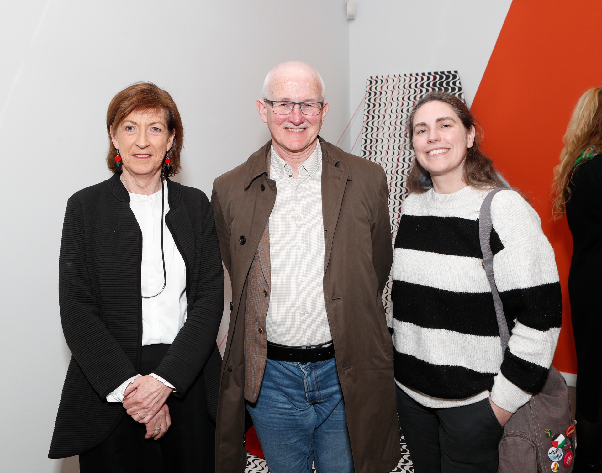 PICTURES: New exhibition launched at Limerick gallery - Page 3 of 10 ...