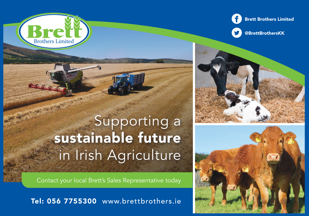 Shop local in Callan - Discover some of the best businesses the town ...