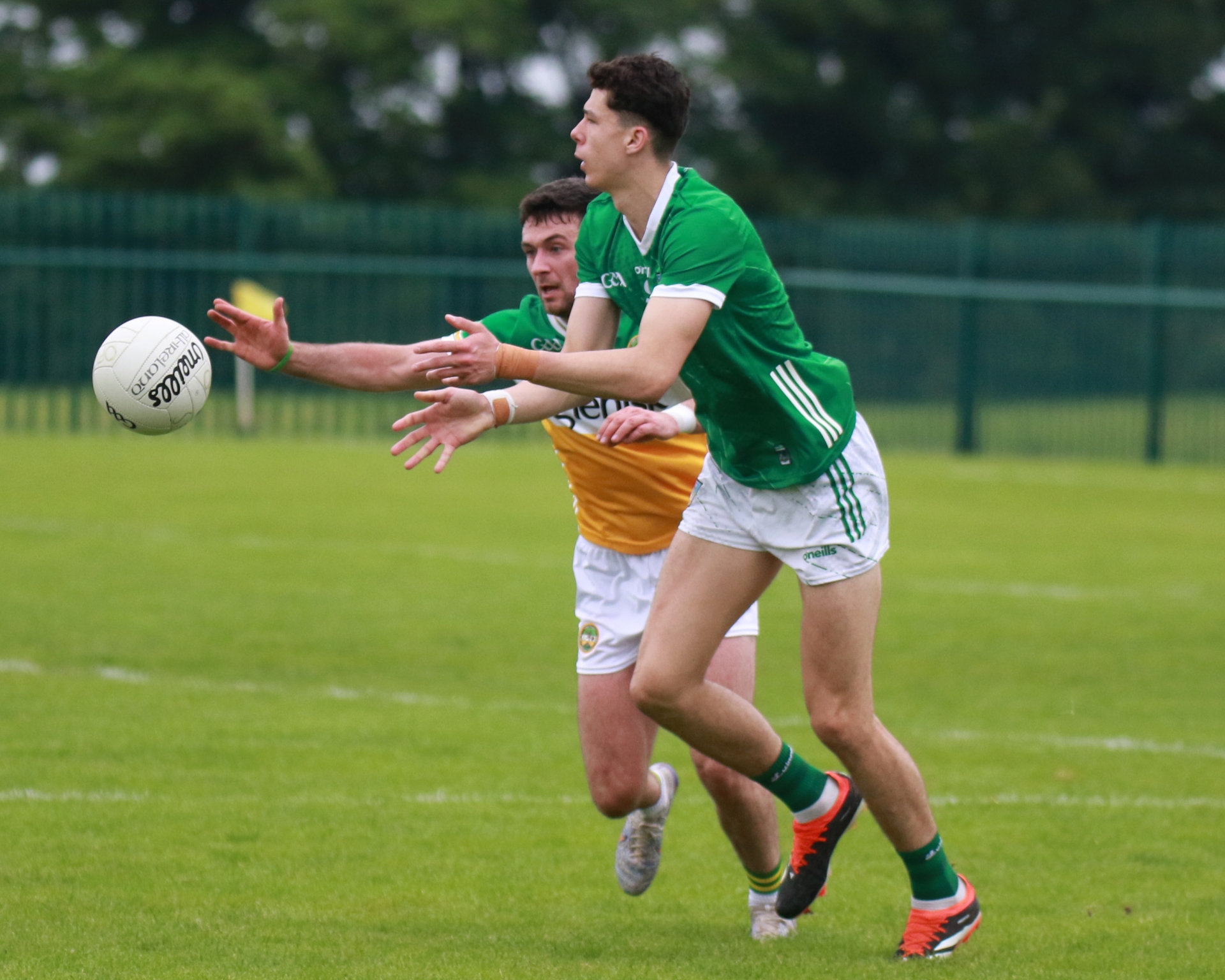 PICTURES: Fans celebrate precious Tailteann Cup victory for Limerick ...