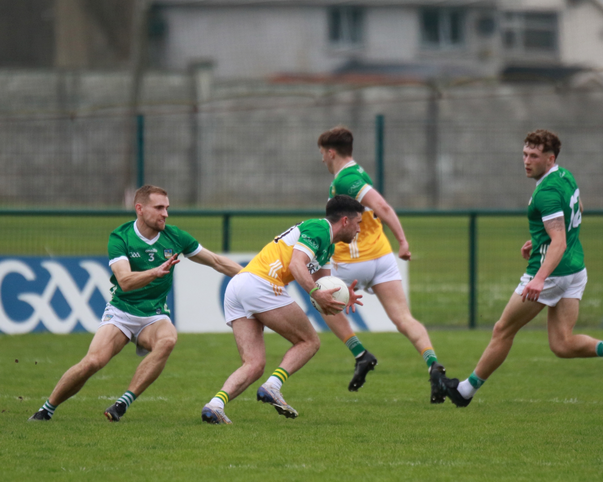 PICTURES: Fans celebrate precious Tailteann Cup victory for Limerick ...