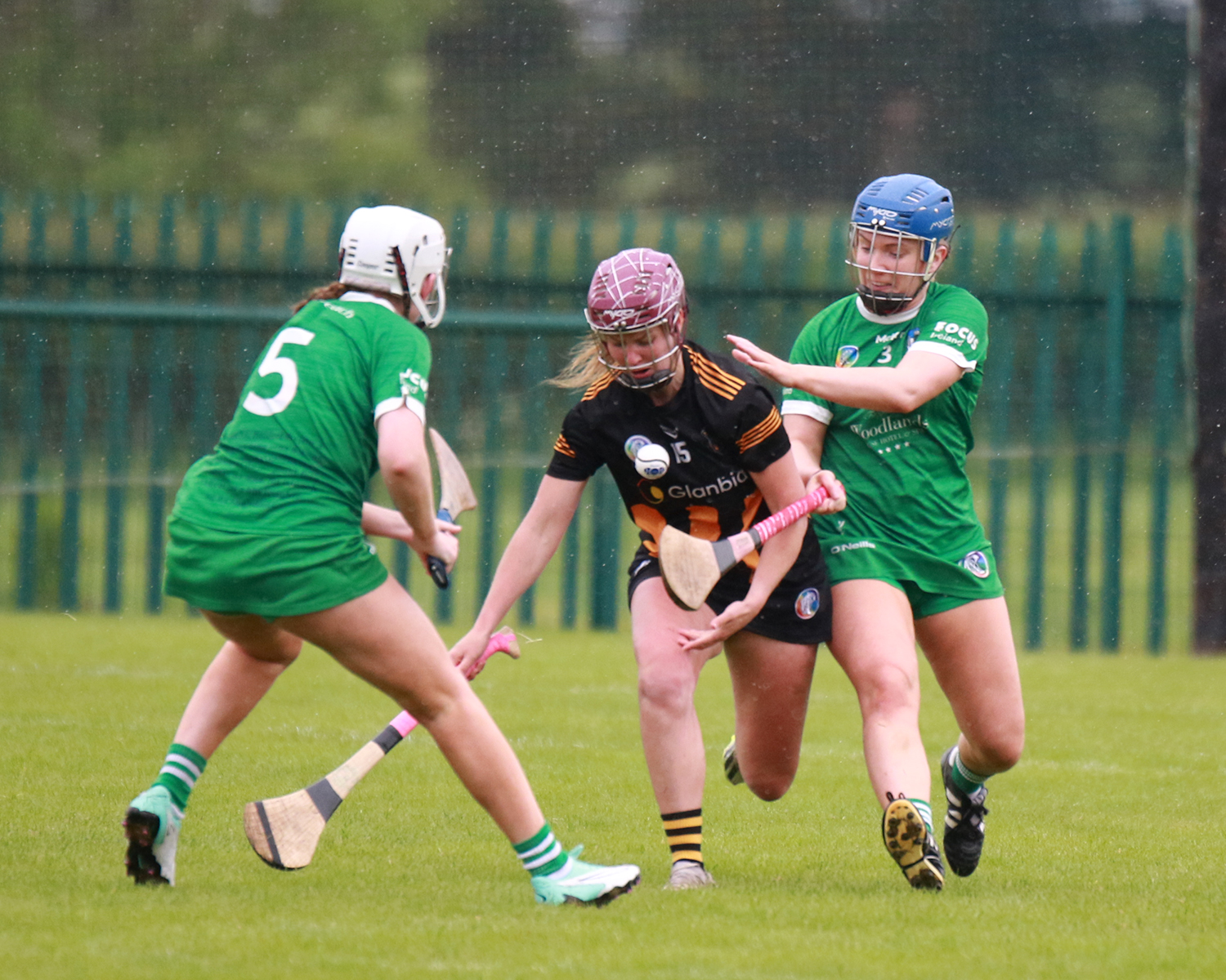 PICTURES: Supporters turn out in force to watch Limerick camogie teams ...