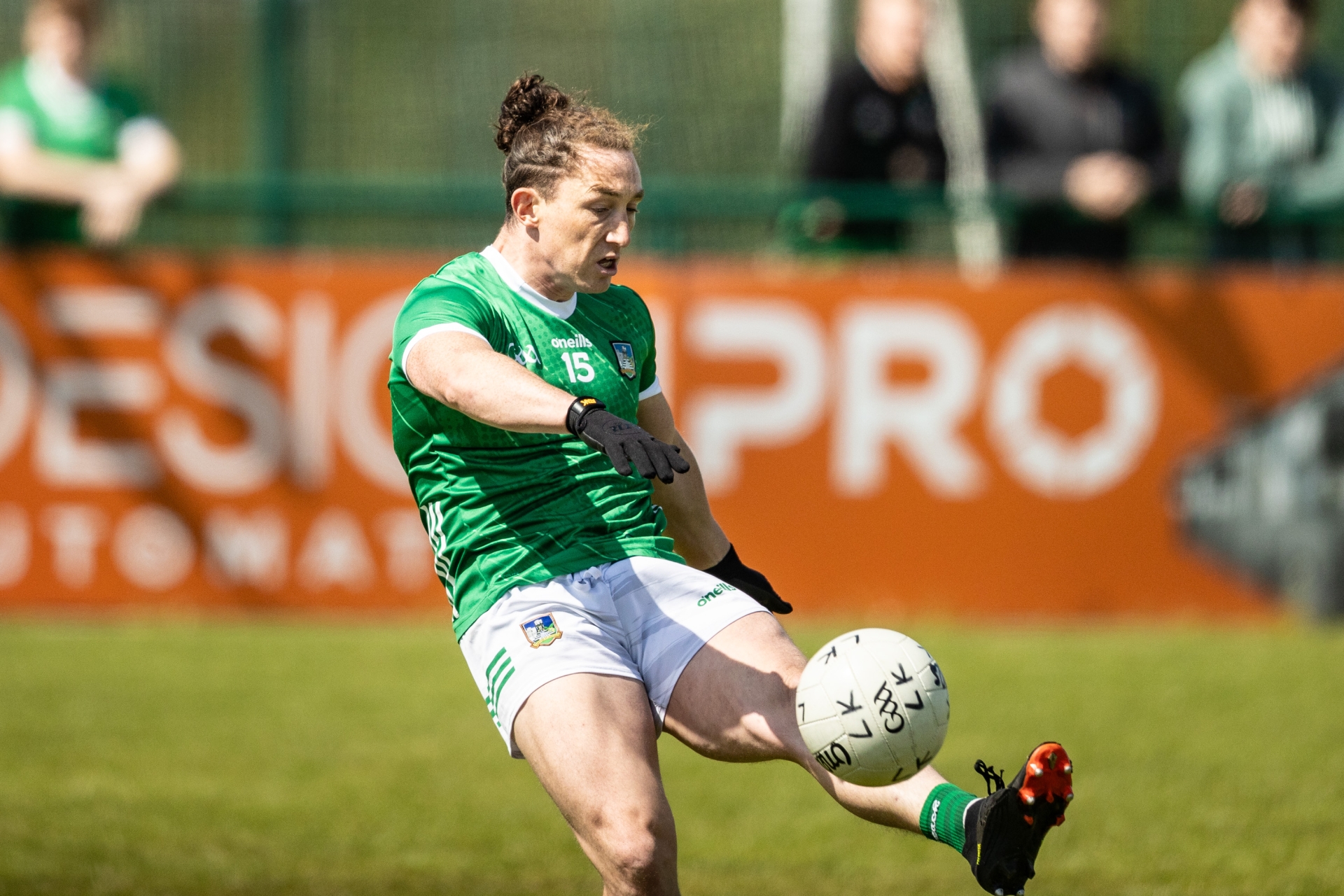 PICTURES: Fans show their support for Limerick footballers in Tailteann ...