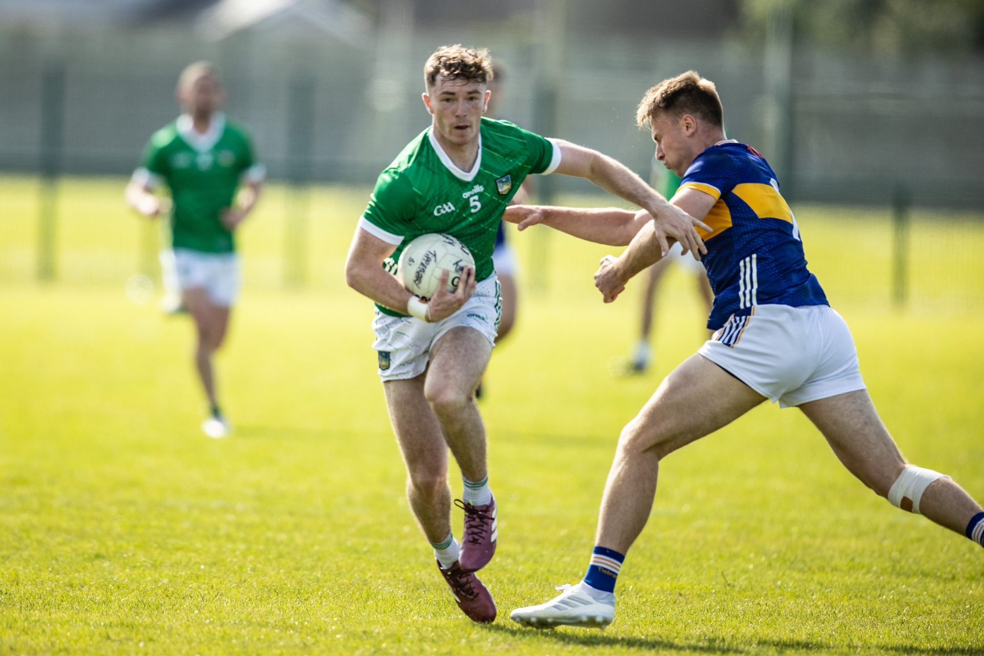 PICTURES: Fans show their support for Limerick footballers in Tailteann ...