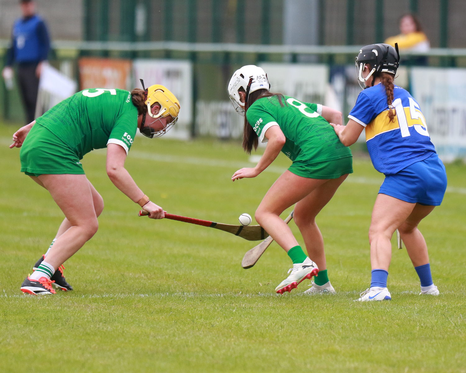 PICTURES: Fans show their support for Limerick senior camogie team in ...