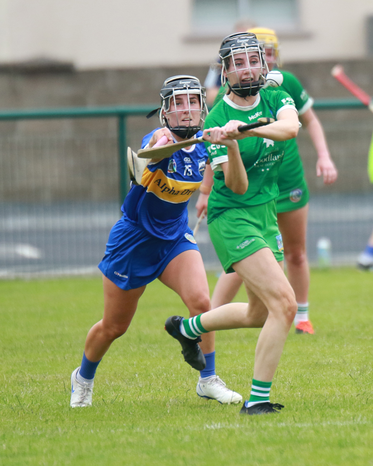 PICTURES: Fans show their support for Limerick senior camogie team in ...