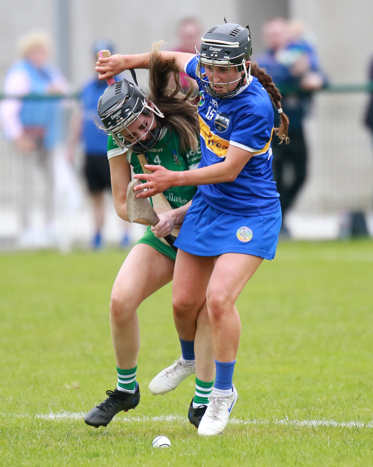 PICTURES: Fans show their support for Limerick senior camogie team in ...