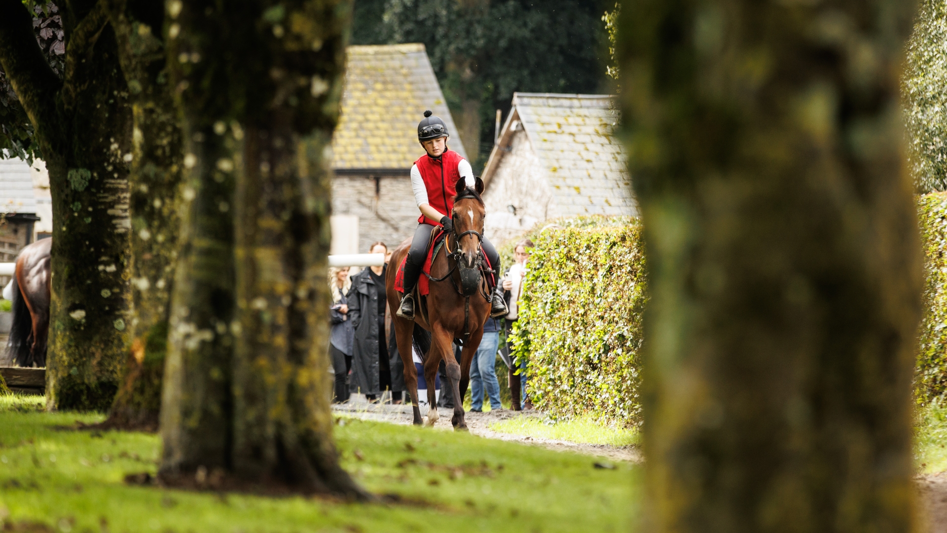 PHOTOS: Jessica Harrington opens gates to her Kildare yard ahead of ...