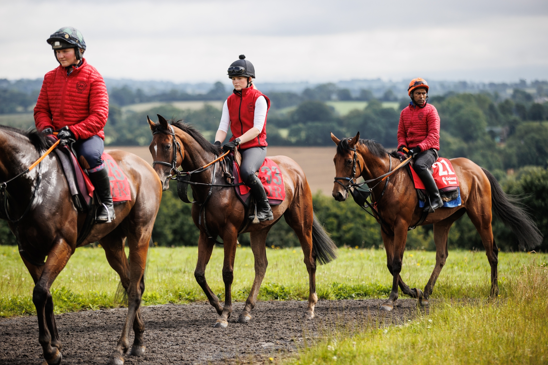 PHOTOS: Jessica Harrington opens gates to her Kildare yard ahead of ...