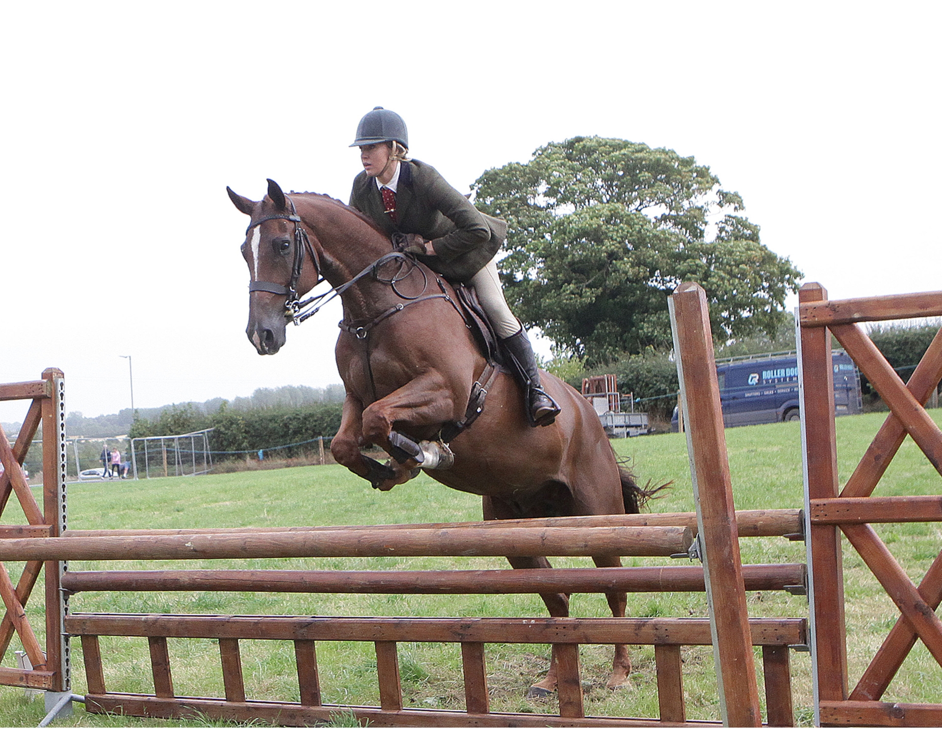 PICTURES: High spirits at AMCS Limerick Show horse and pony events - Page 1 of 17 - Limerick Live
