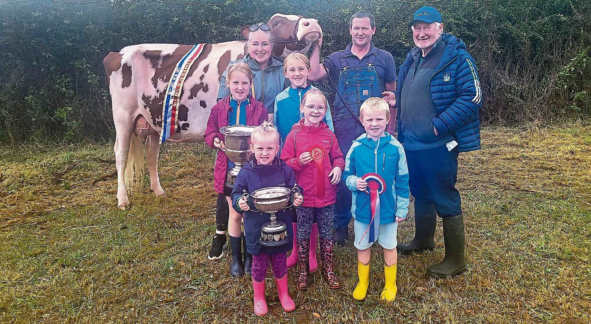 ‘Curtin’ not fallen yet on remarkable year for busy Limerick pedigree ...