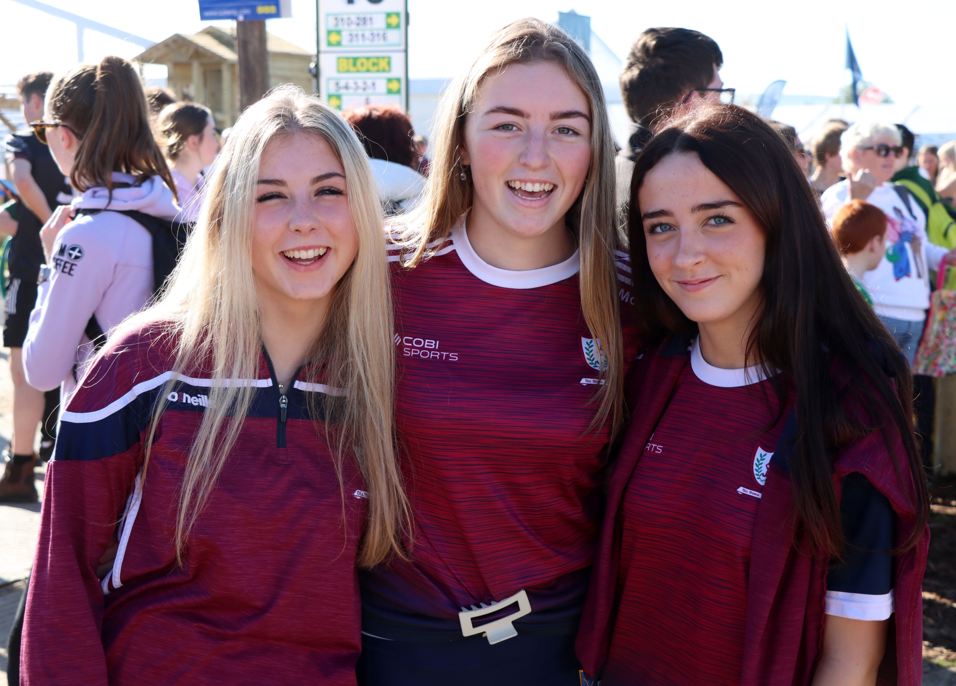 PICTURES: Large Limerick contingent enjoy the sunshine on day one of the Ploughing Championships ...