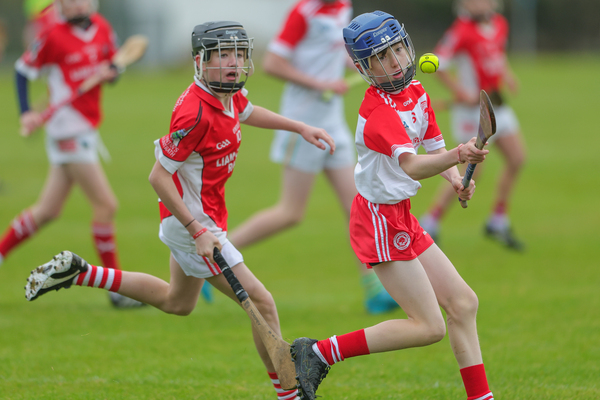 IN PICTURES: Laois GAA club remembers Adam Kirwan, the 'Trumera Tiger ...