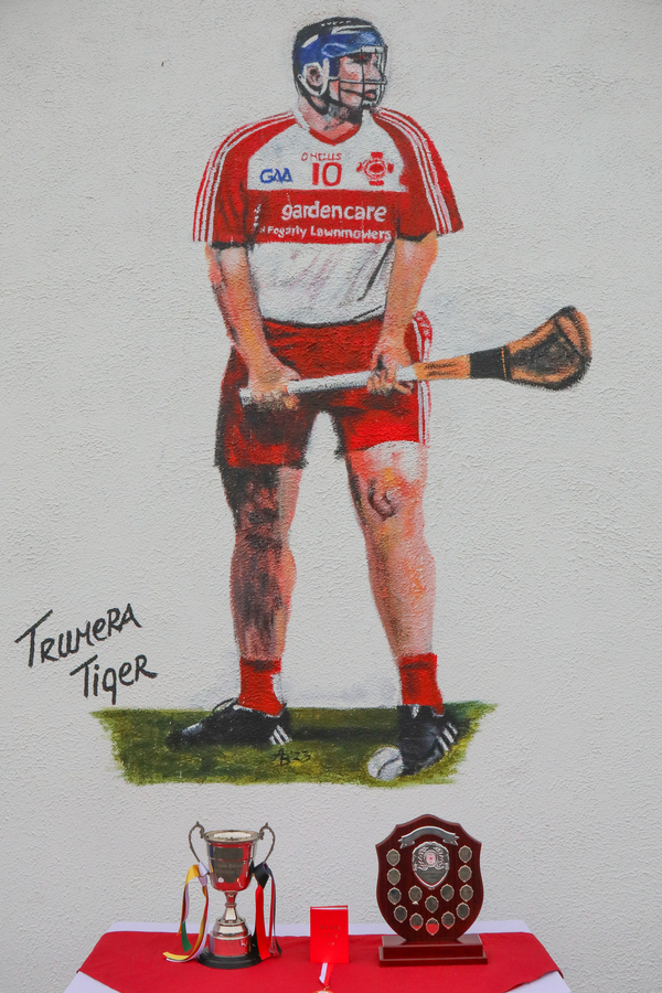 2024 IN PICTURES: Laois GAA club remembers Adam Kirwan, the 'Trumera ...