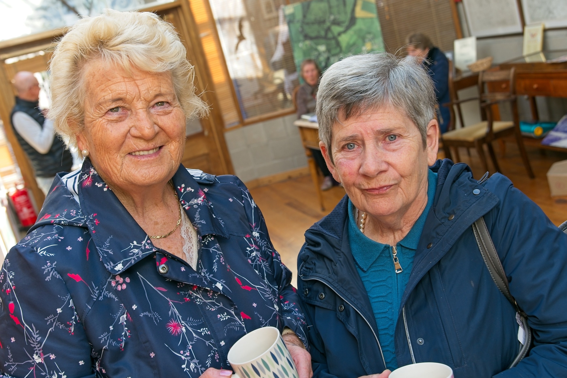 PICTURES: Kildare Federation of Local History Groups Seminar and AGM ...