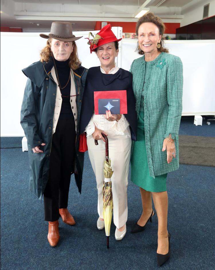 PICTURES: Locals enjoying the fun at Limerick Show - Page 1 of 26 ...