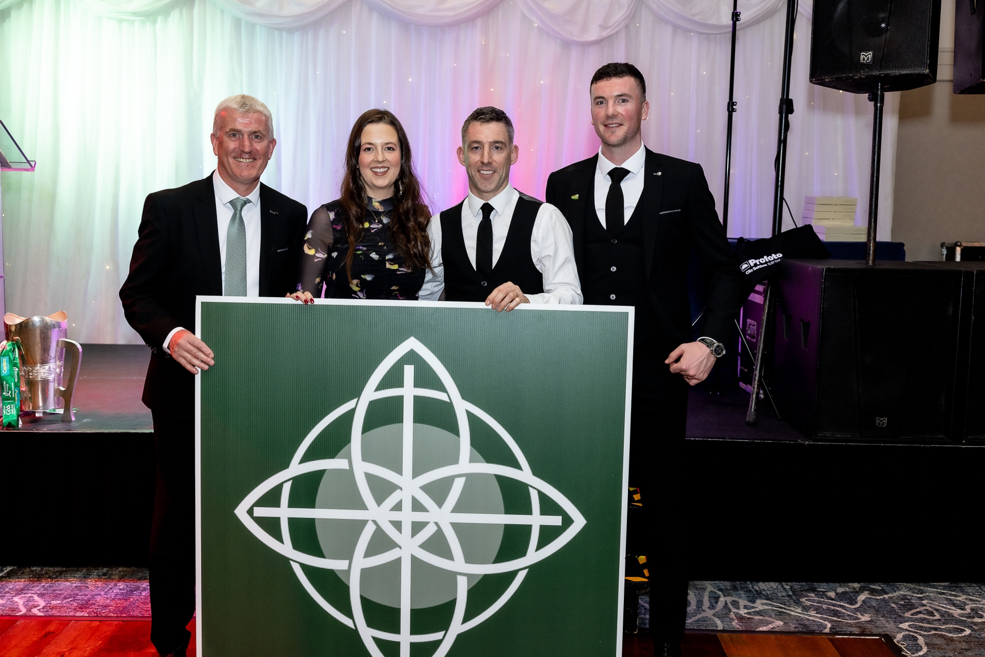 PICTURES: Limerick hurlers receive their Munster Championship medals at ...
