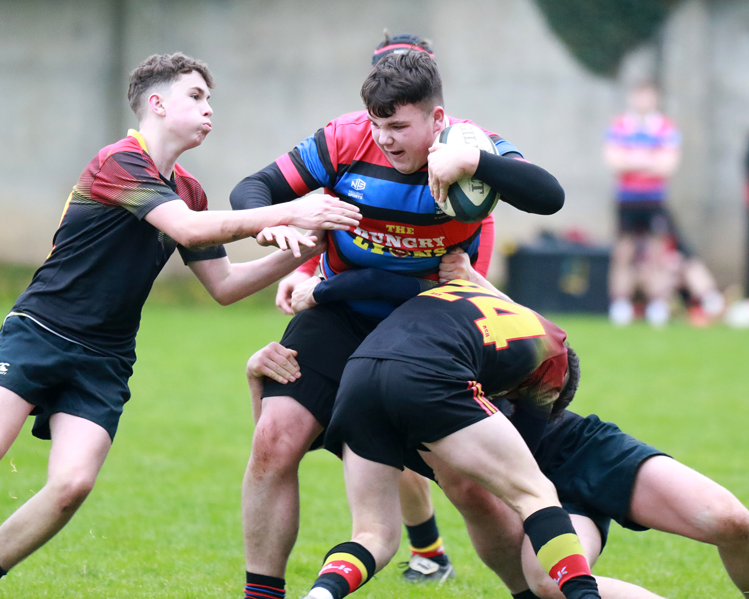 PICTURES: Ardscoil Rís and St Munchins battle it out in U16 Limerick ...