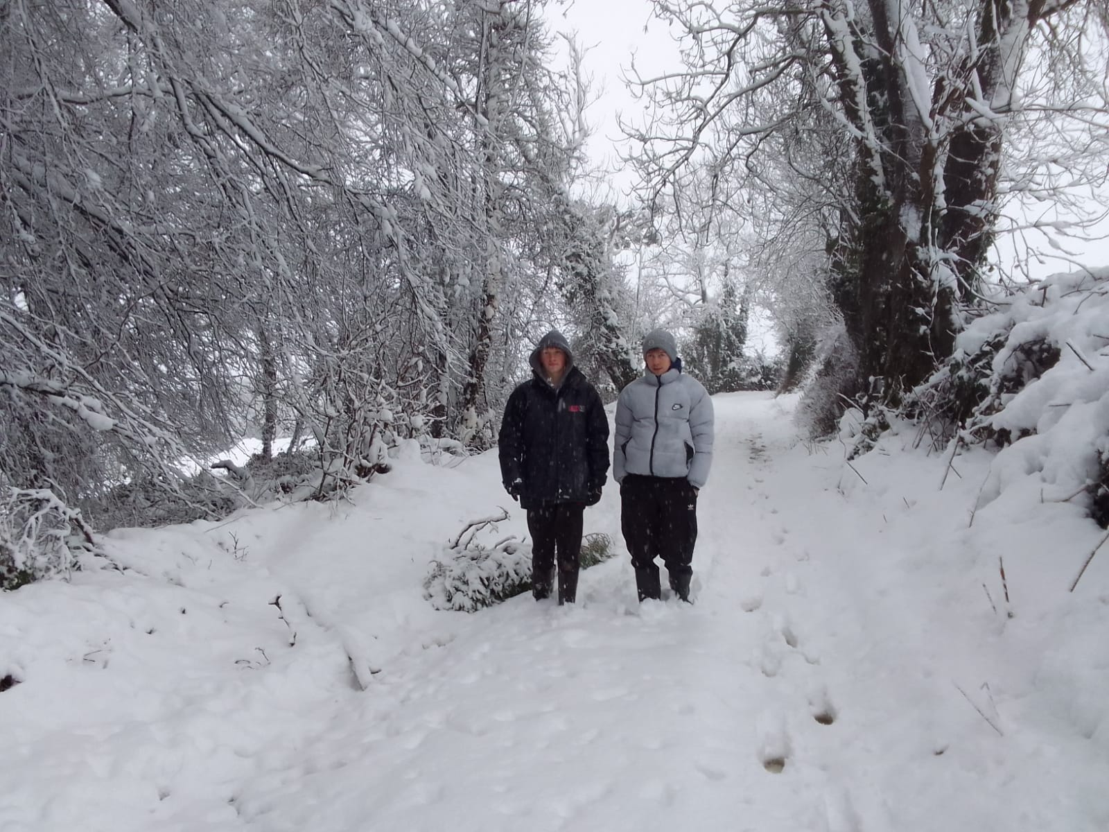 MORE OF YOUR PICTURES: Fun in the snow in Limerick - Page 7 of 19 ...