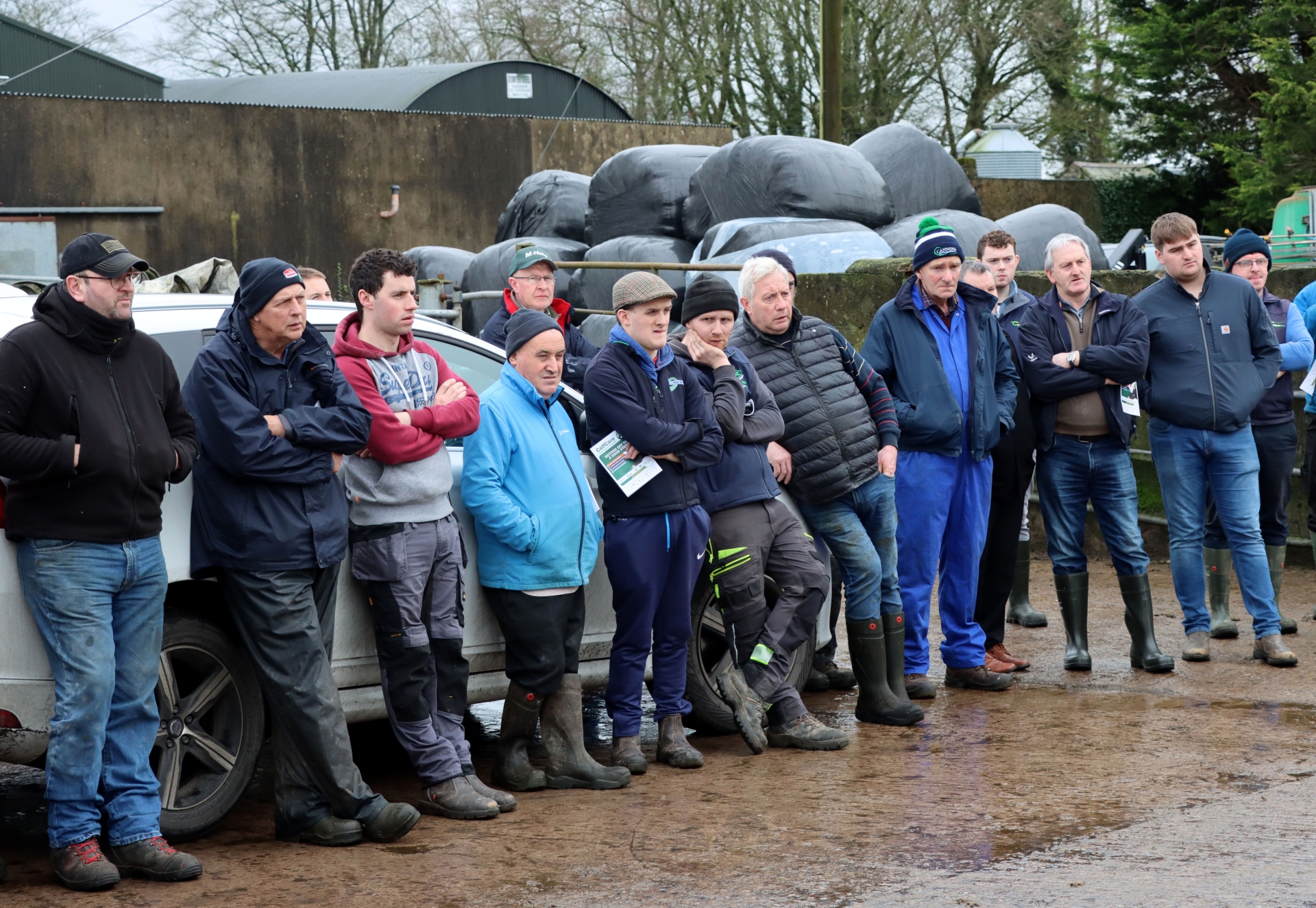 PICTURE: Limerick farm hosts a CalfCare On-Farm Event - Page 9 of 15 ...