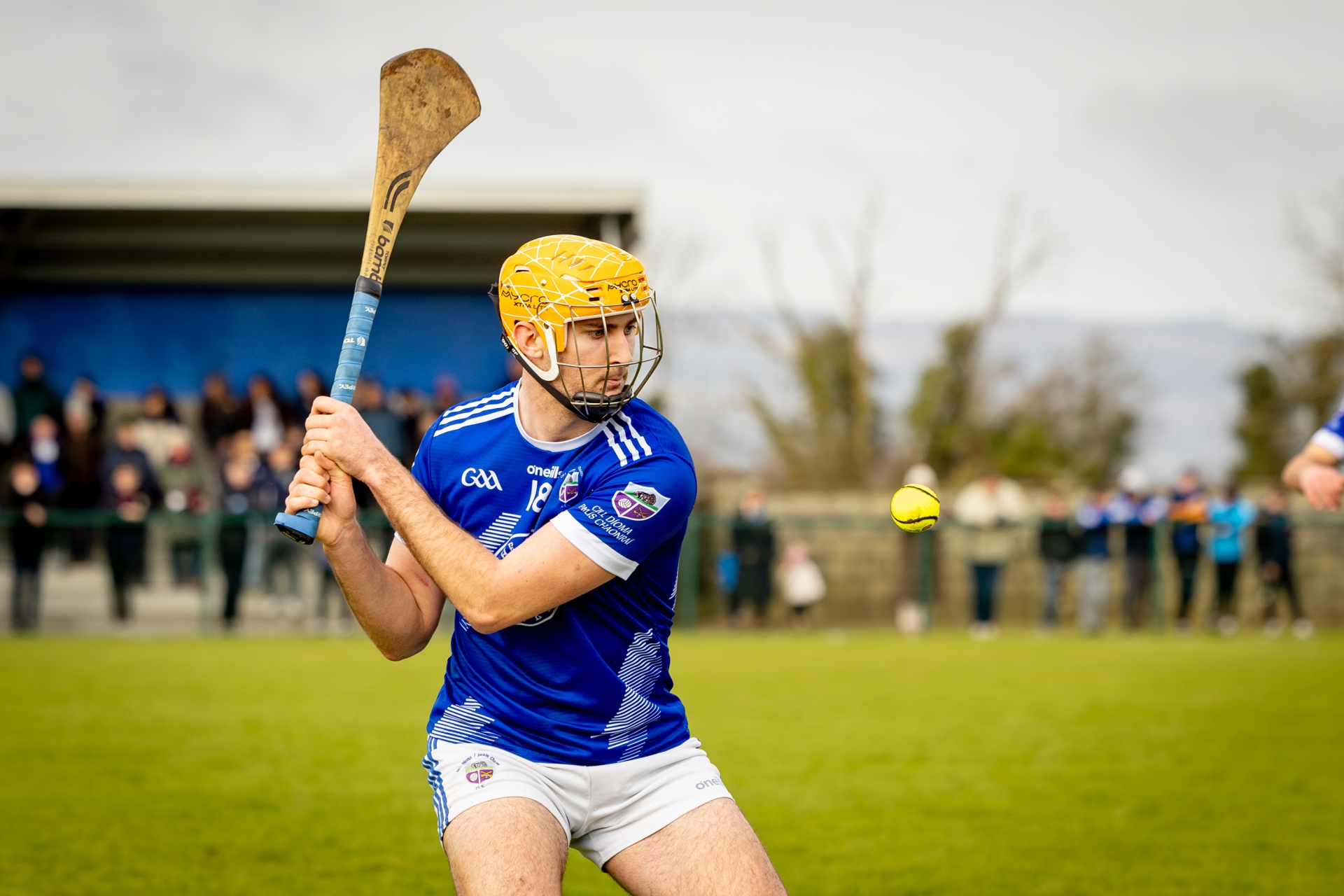 PICTURES: Kildimo-Pallaskenry celebrate Munster Junior 'B' Hurling ...