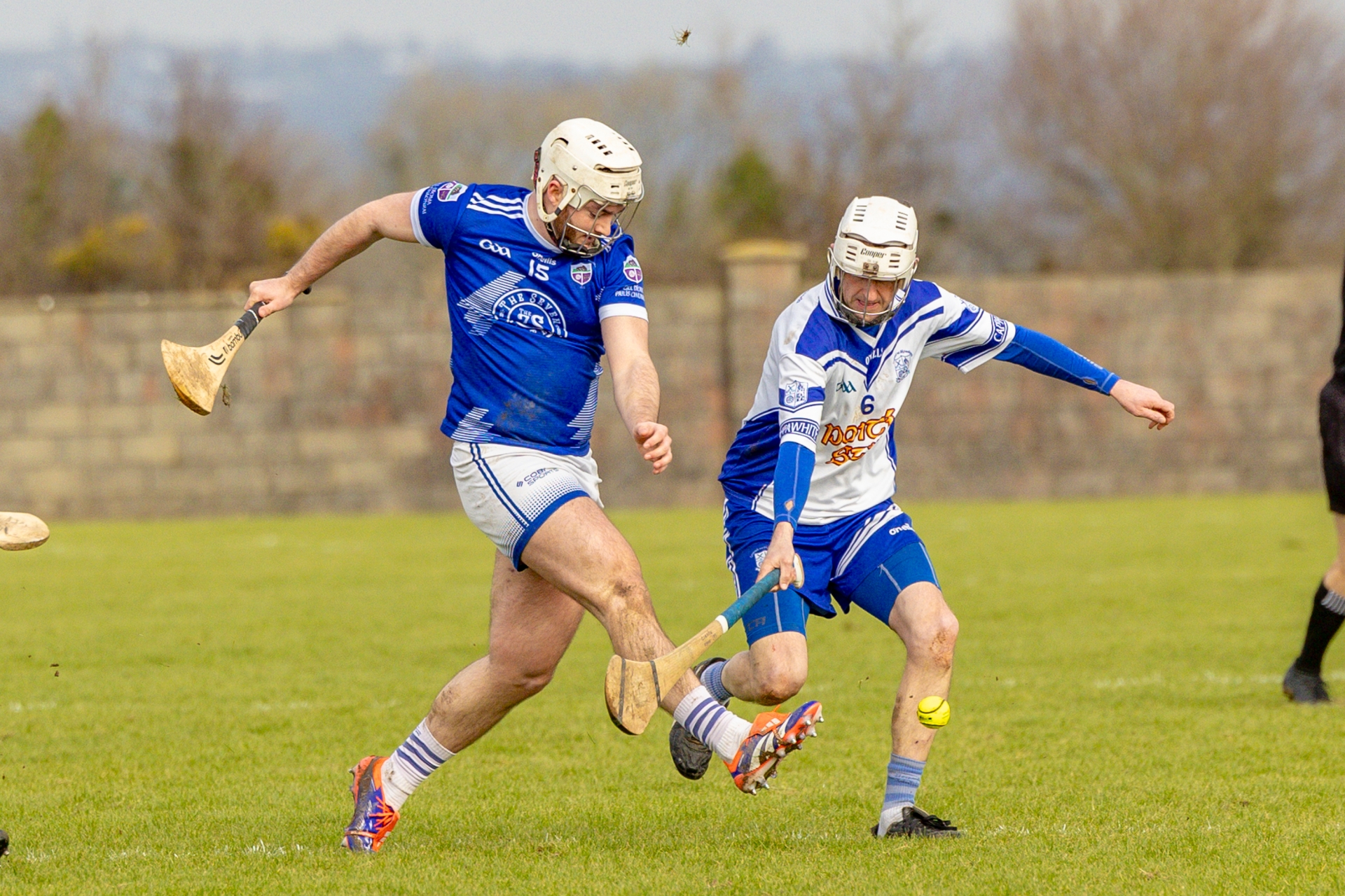 PICTURES: Kildimo-Pallaskenry celebrate Munster Junior 'B' Hurling ...