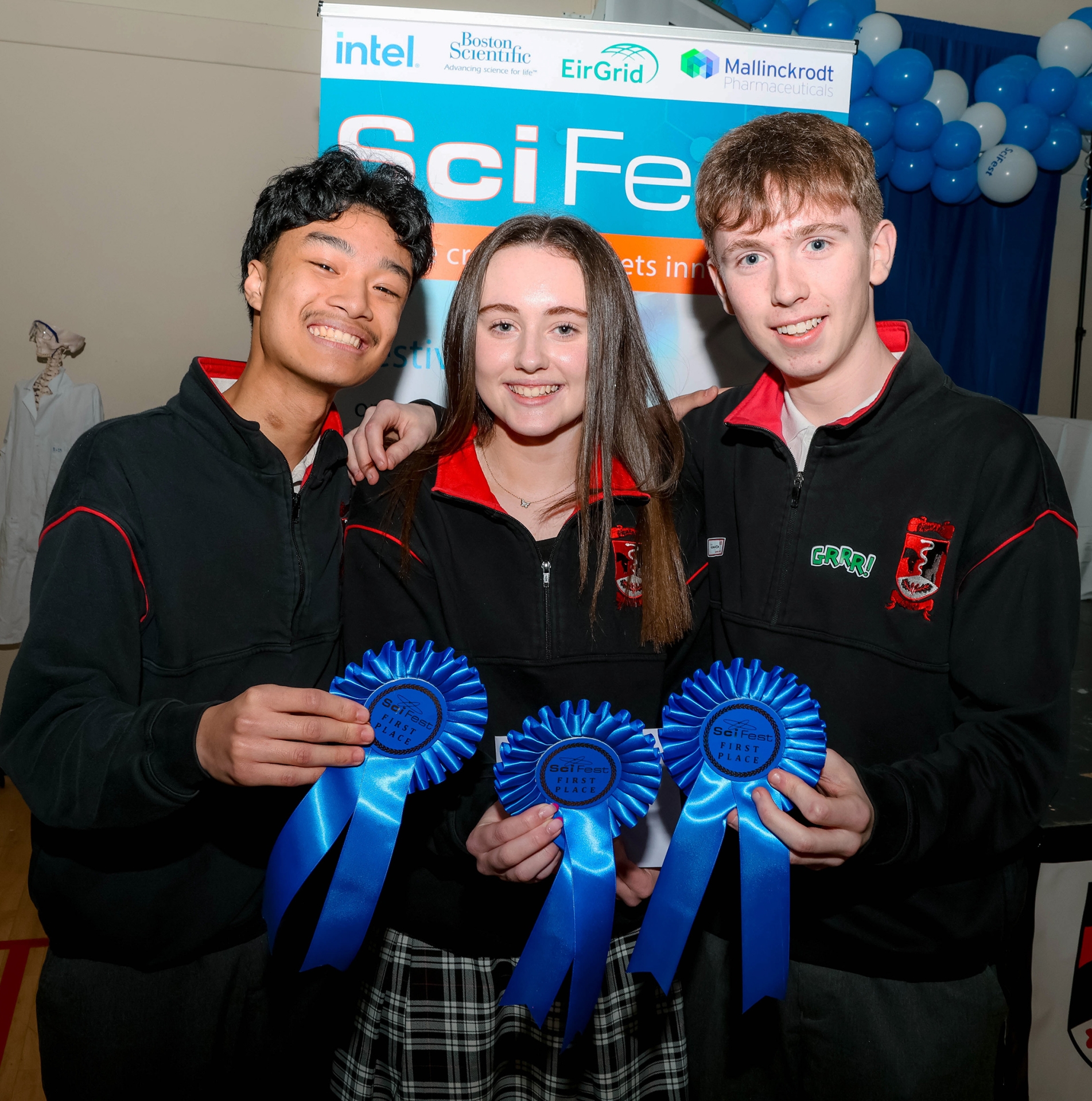 PICTURES: Kildare students impress at SciFest@School 2025 - Page 1 of ...