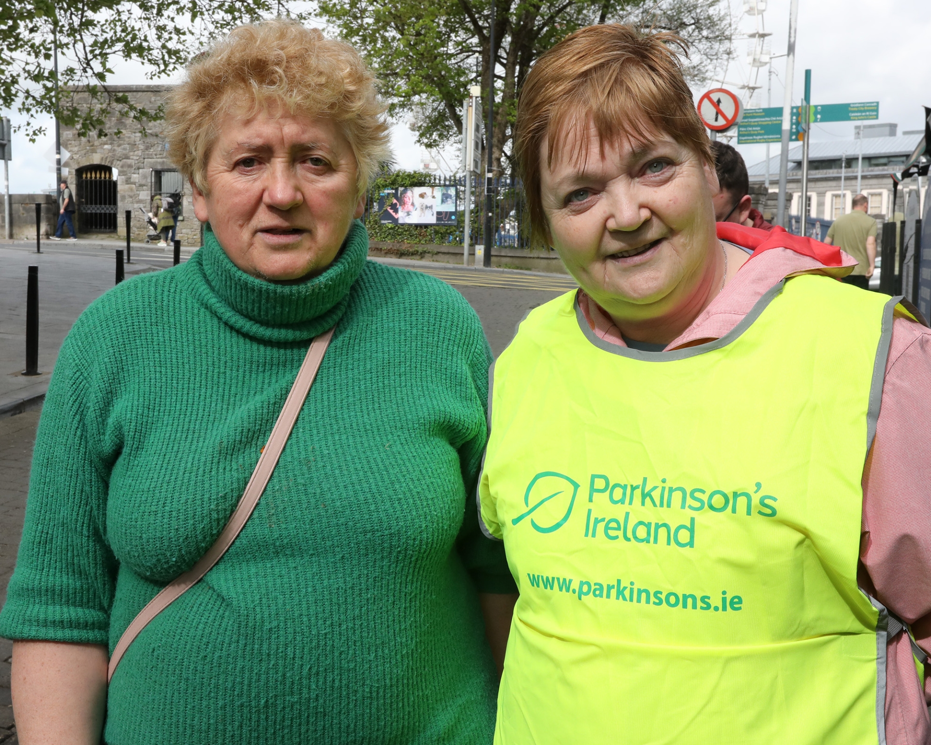 PICTURES: The Limerick Seven Bridges Walk in aid of Parkinson's Ireland ...