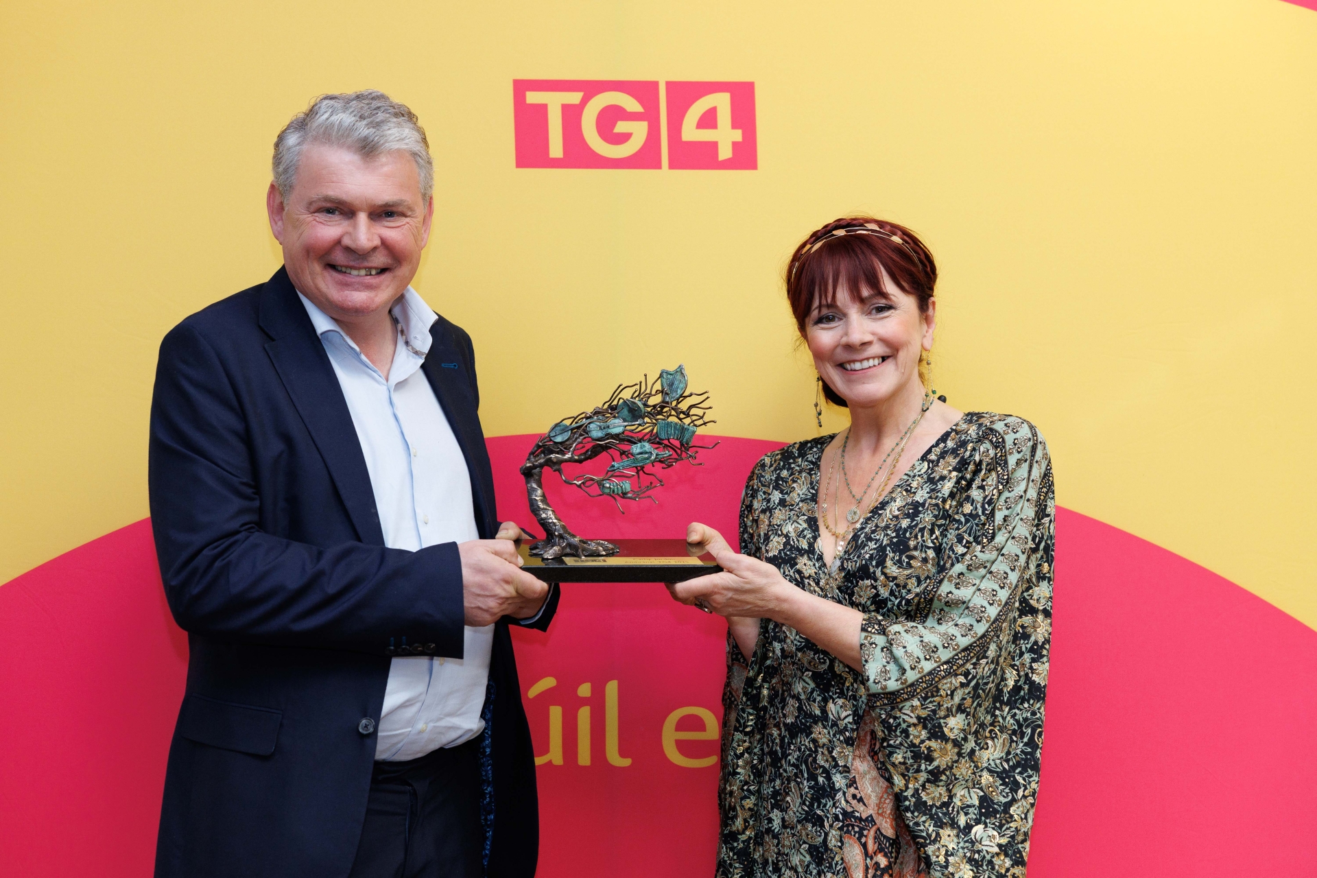 PICTURES: University Concert Hall Limerick hosts Gradam Ceoil TG4 ...