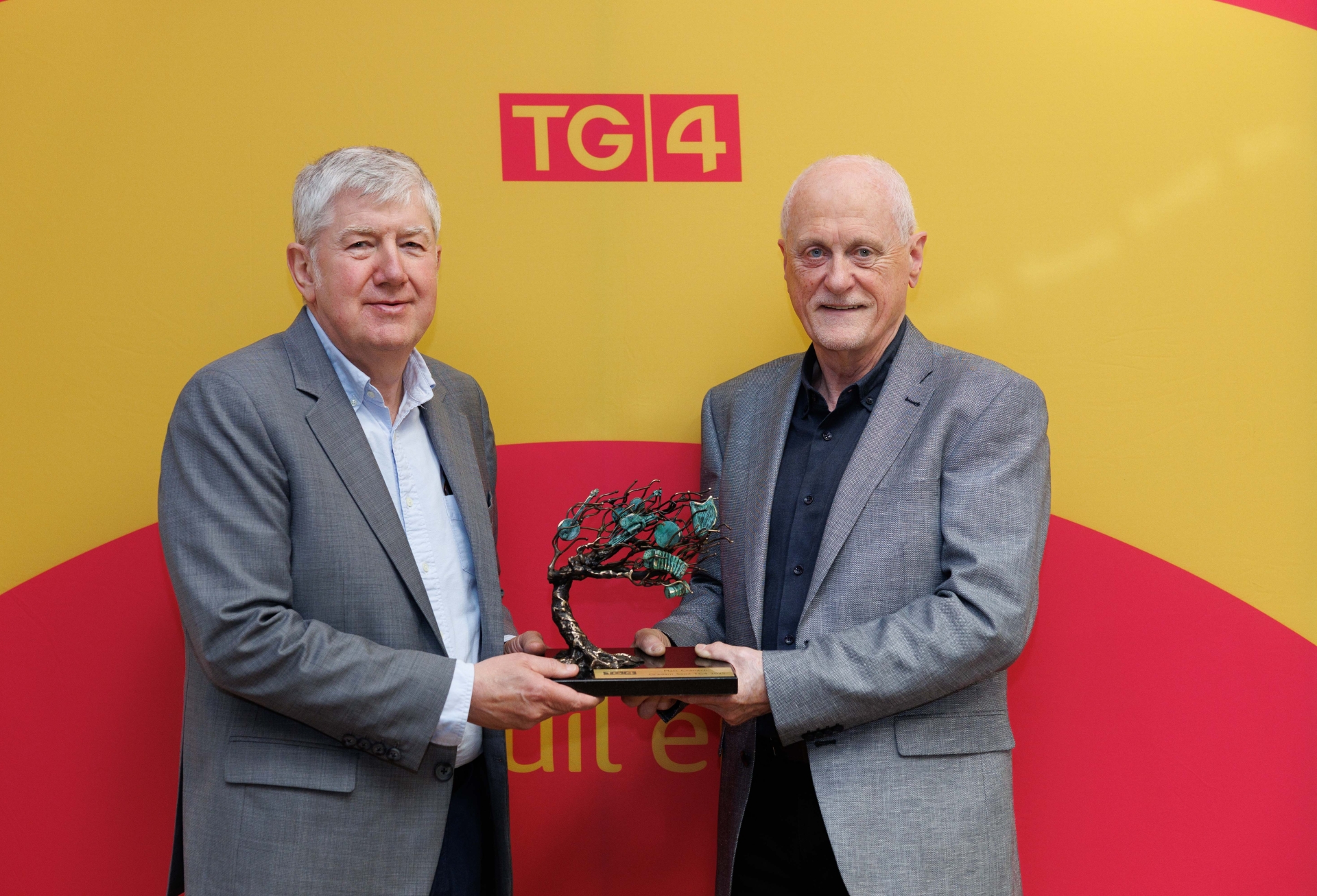 PICTURES: University Concert Hall Limerick hosts Gradam Ceoil TG4 ...