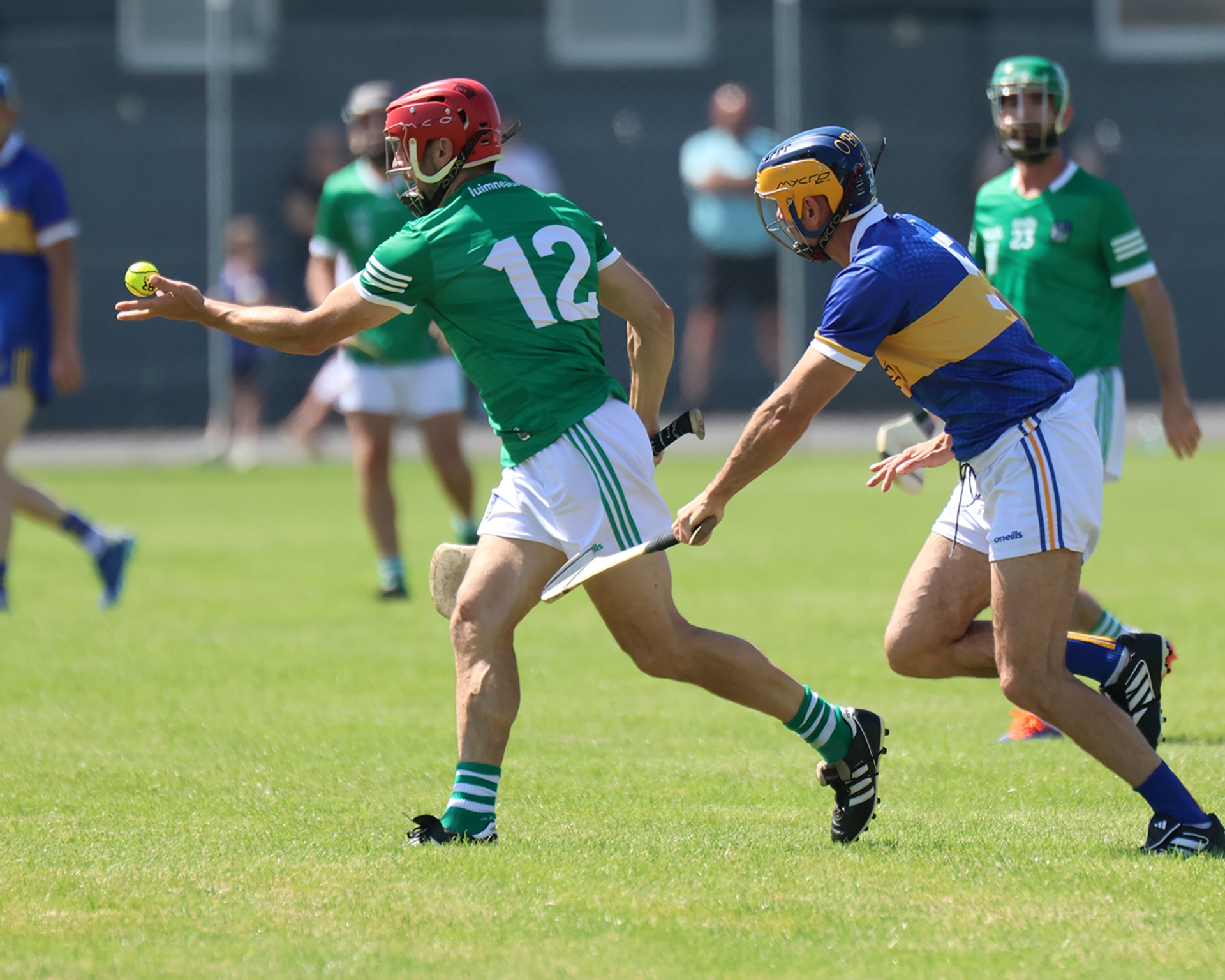 PICTURES: Limerick supporters cheer on Masters hurling side against ...