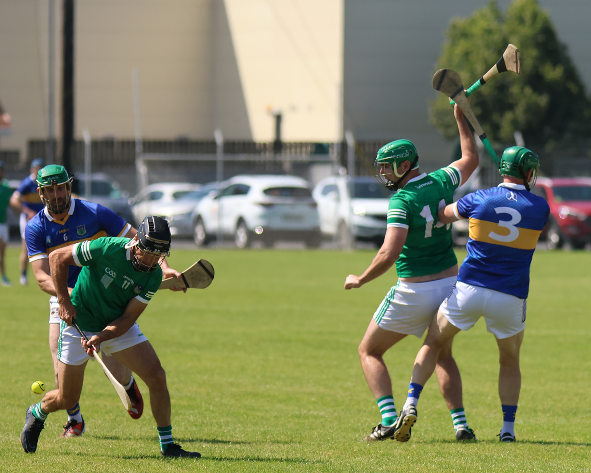 PICTURES: Limerick supporters cheer on Masters hurling side against ...