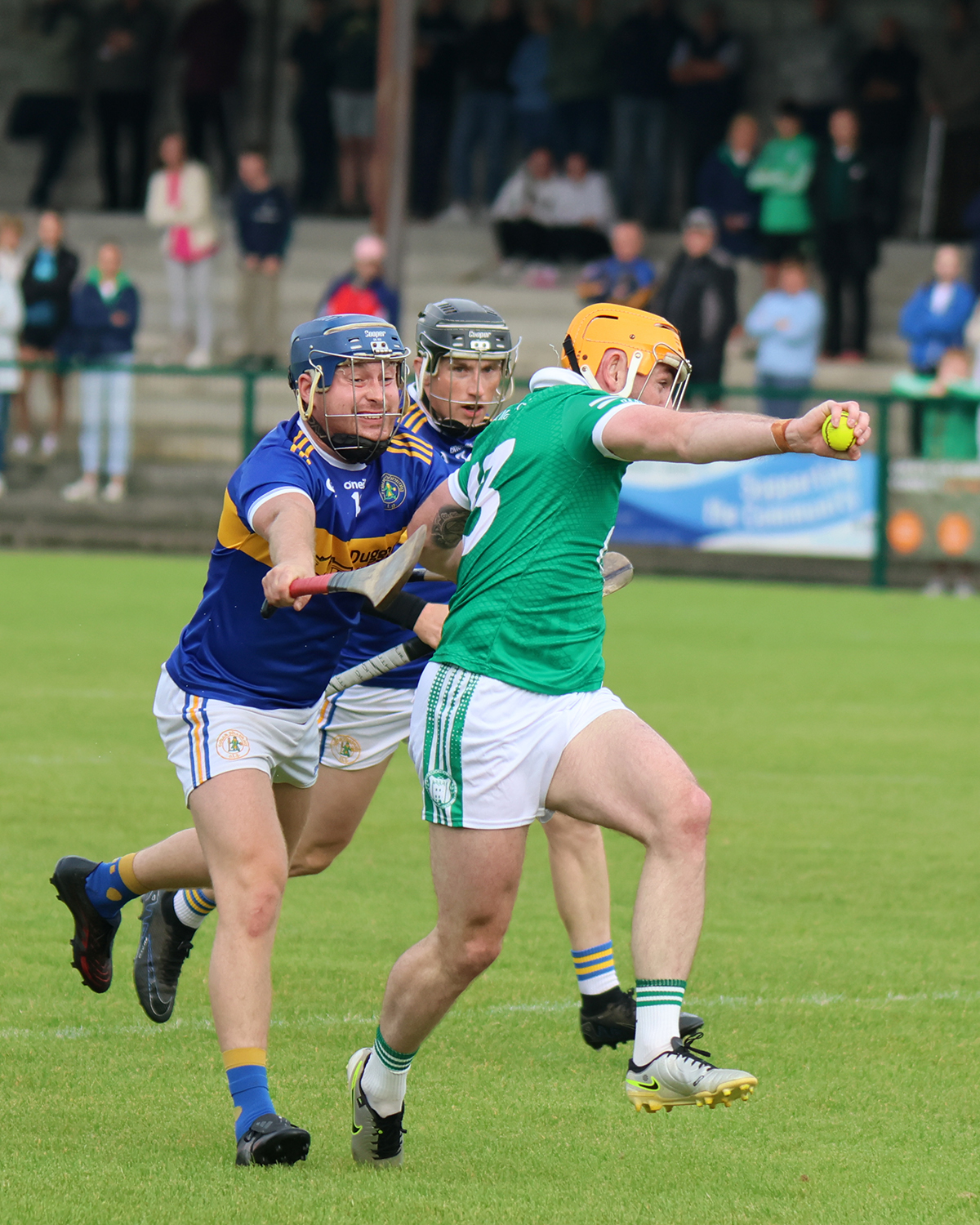 PICTURES: Supporters cheer on Kilmallock and Patrickswell in Limerick ...