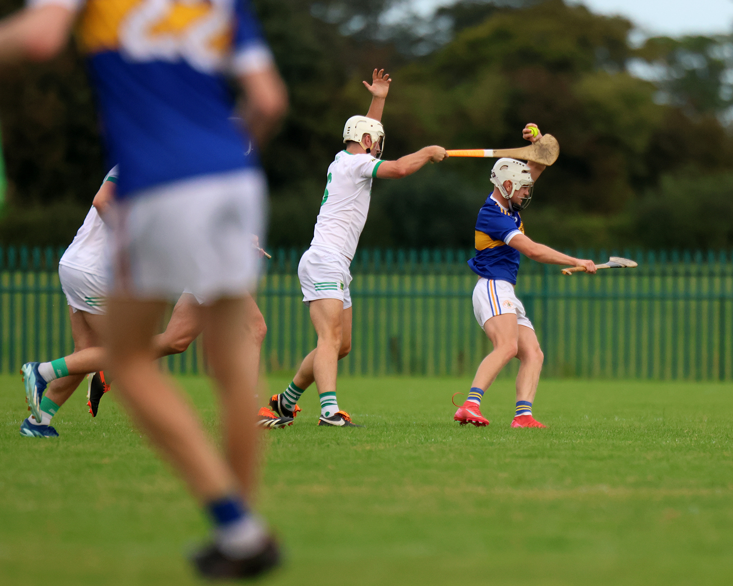 PICTURES: Supporters cheer on Ballybrown and Patrickswell in Limerick ...